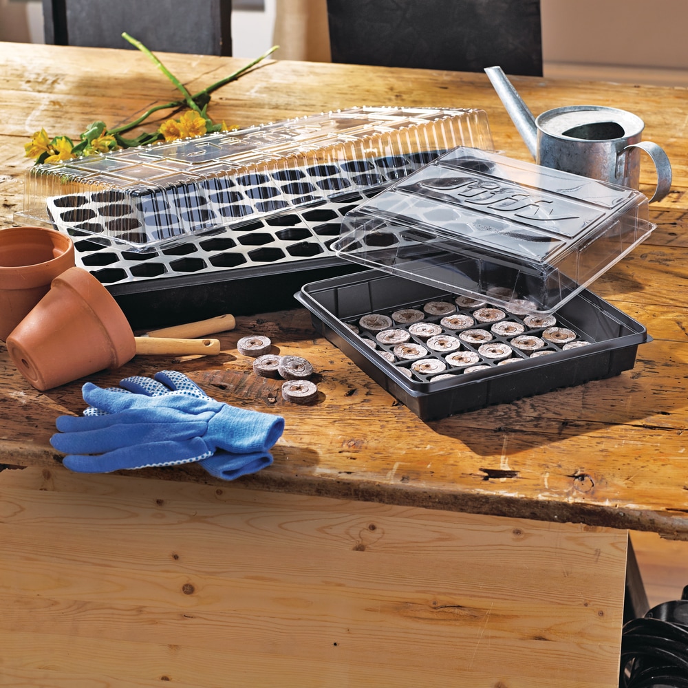 McKenzie Pro-Hex 72 Cells Seed Starting Tray | Canadian Tire