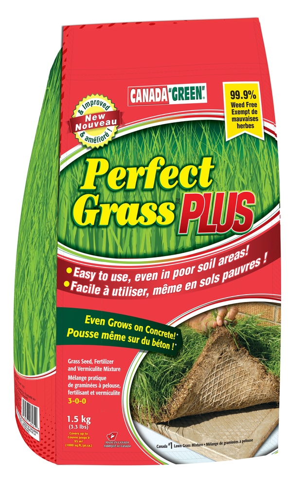 Canada Green Perfect Grass Plus Grass Seed And Fertilizer Mix Easy To