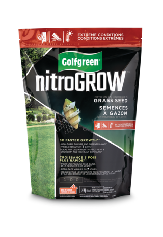 Golfgreen NitroGROW Extreme Condition Water Saving Grass Seed ...