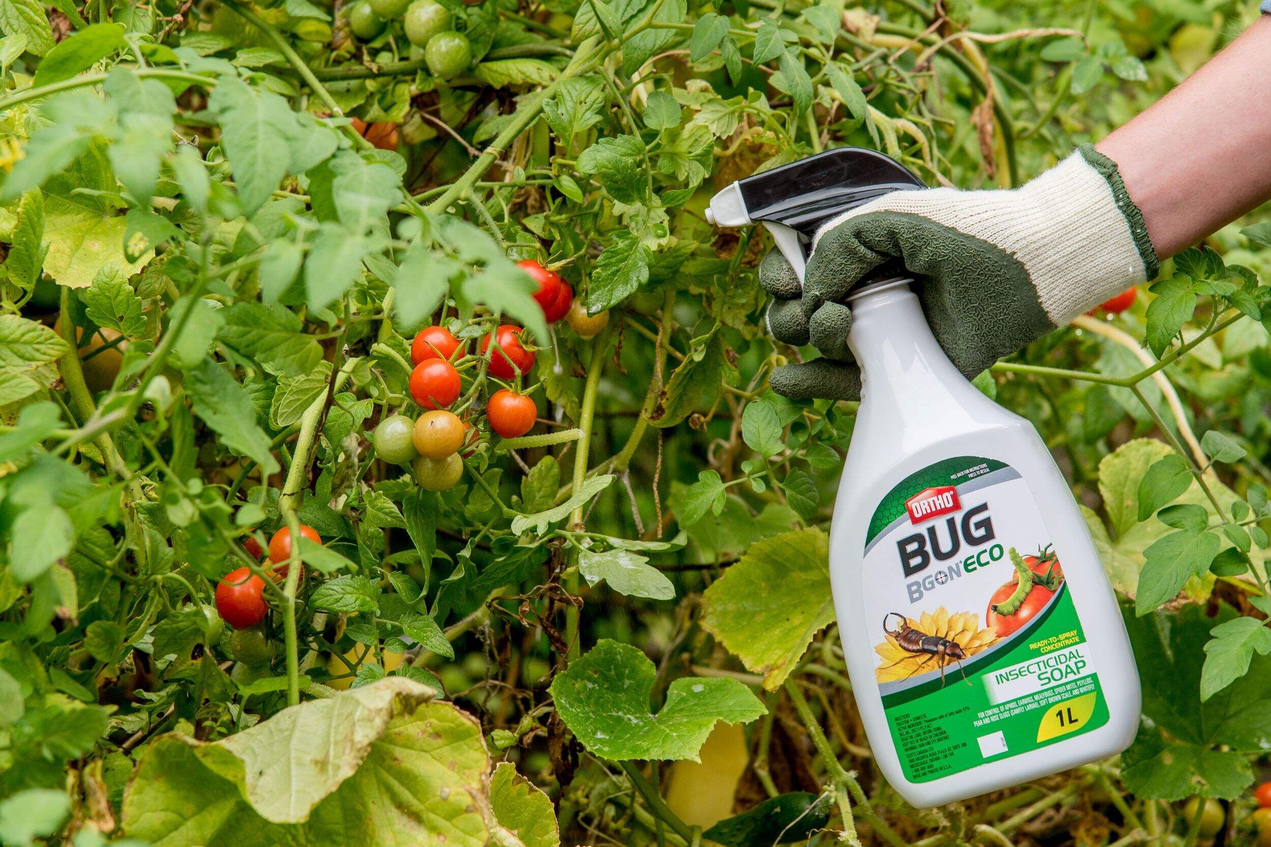 Savon insecticide Bug B Gon Eco, prêt à l'emploi, 1 L | Canadian Tire