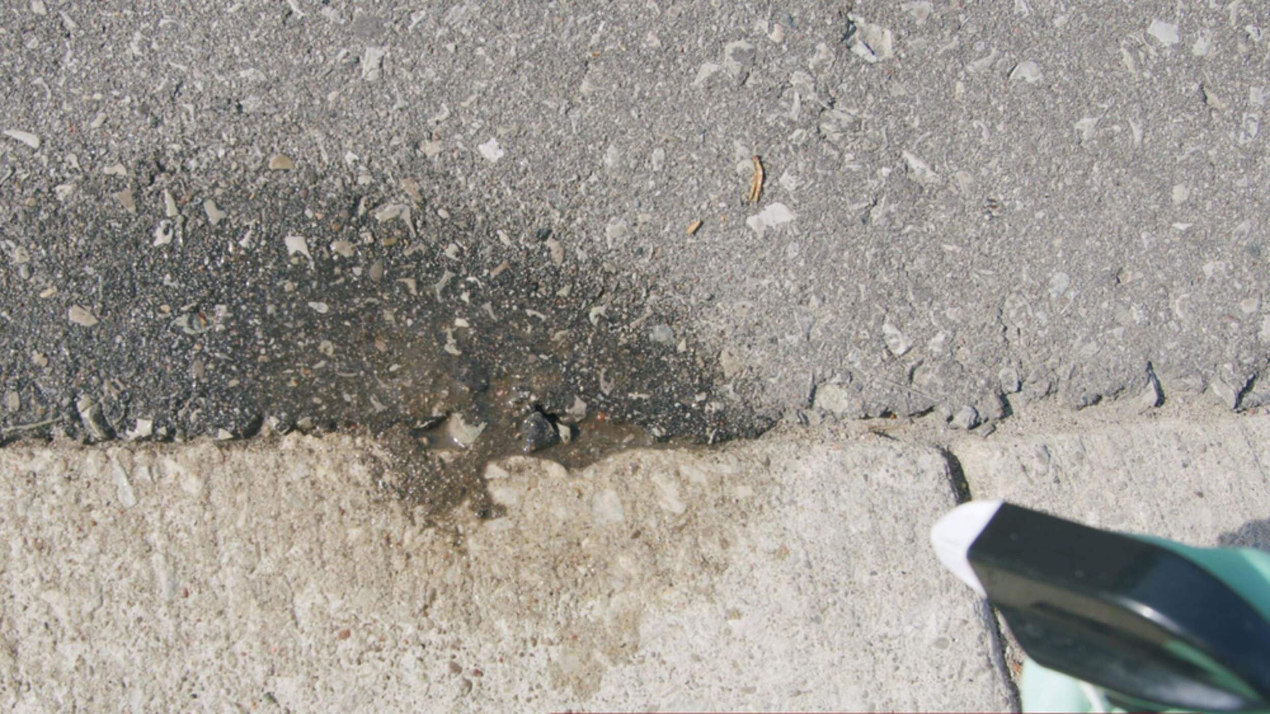 Ortho® Ant B Gon® MAX Ant Killer Granules, 500-g | Canadian Tire