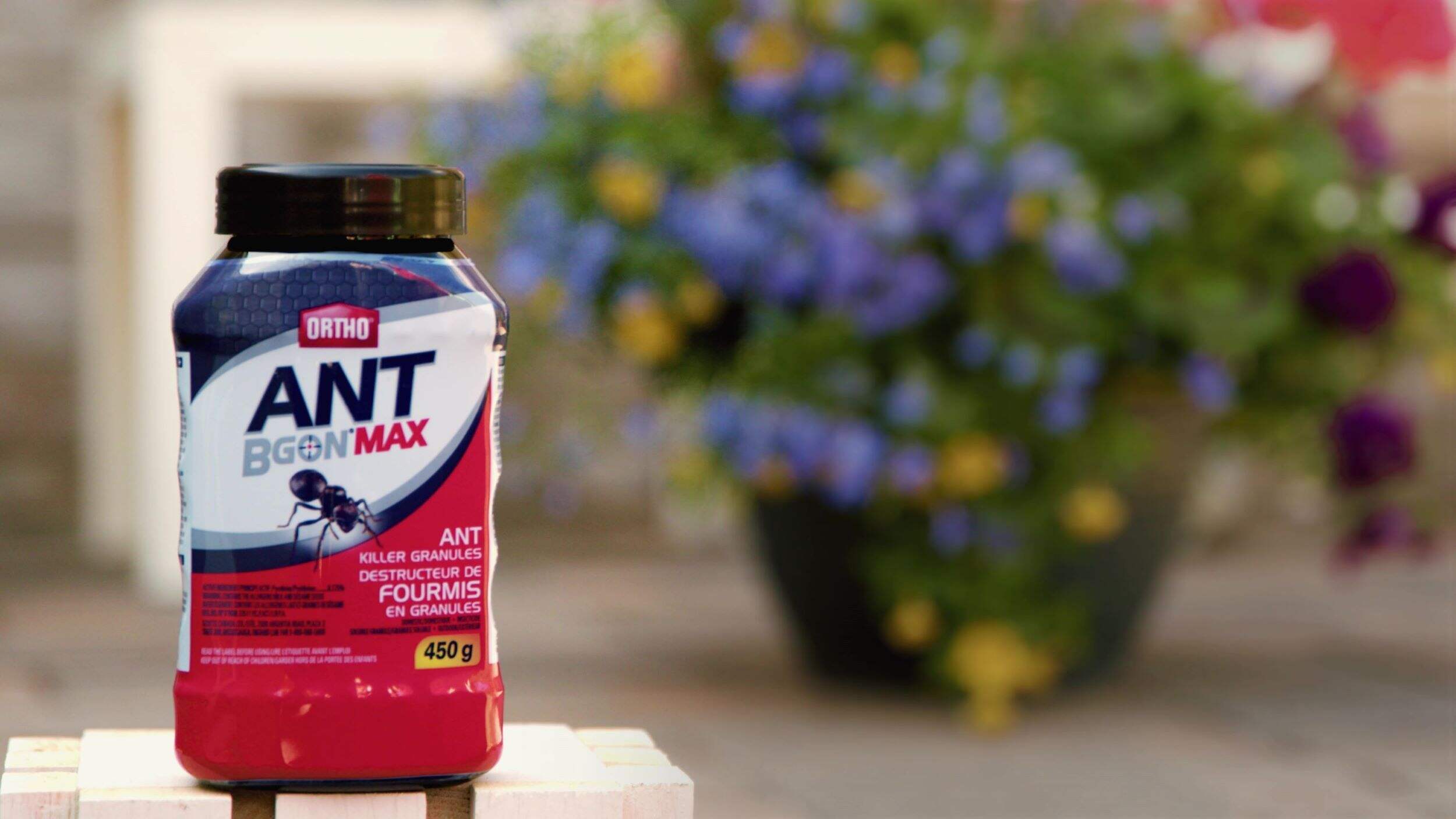 Ortho® Ant B Gon® MAX Ant Killer Granules, 500-g | Canadian Tire