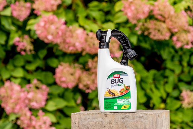 Ortho Bug B Gon® ECO Indoor/Outdoor Ready-to-Use Insecticidal Soap ...