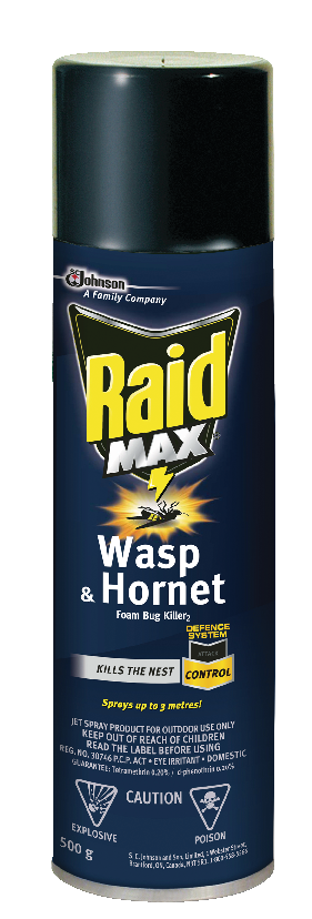 Raid MAX Foam Wasp & Hornet Insect Killer, Aerosol spray, 500-g ...