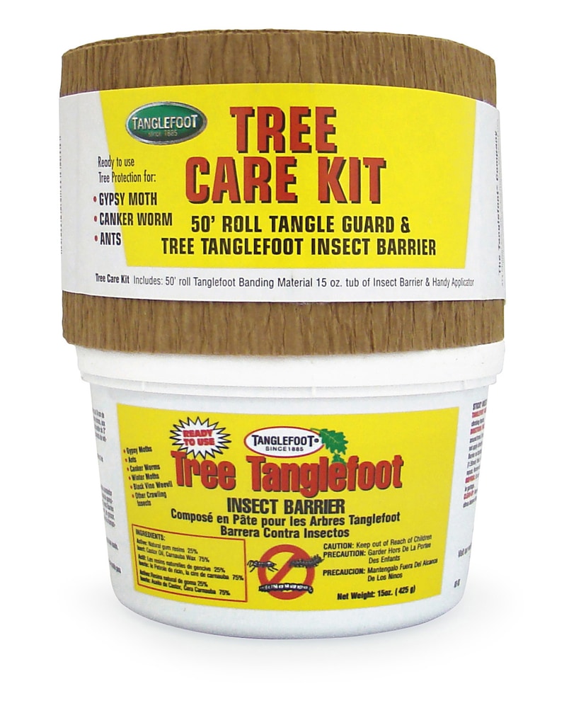 Tanglefoot Tree Care Kit 15-oz Insect Barrier & 50-ft Banding ...