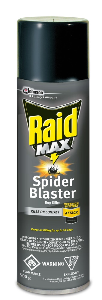 Insecticide Raid MAX Spider Blaster, vaporisateur, 500 g | Canadian Tire