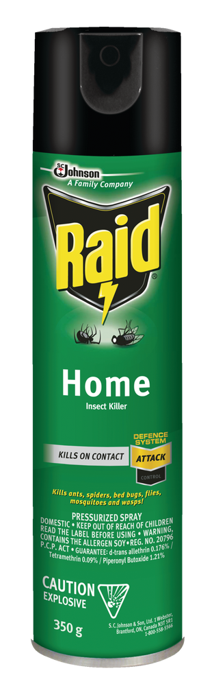 Raid Indoor/Outdoor Home Insect Killer Spray, 350-g | Canadian Tire