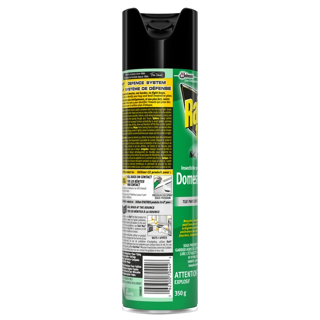 Raid Indoor/Outdoor Home Insect Killer Spray, 350-g | Canadian Tire