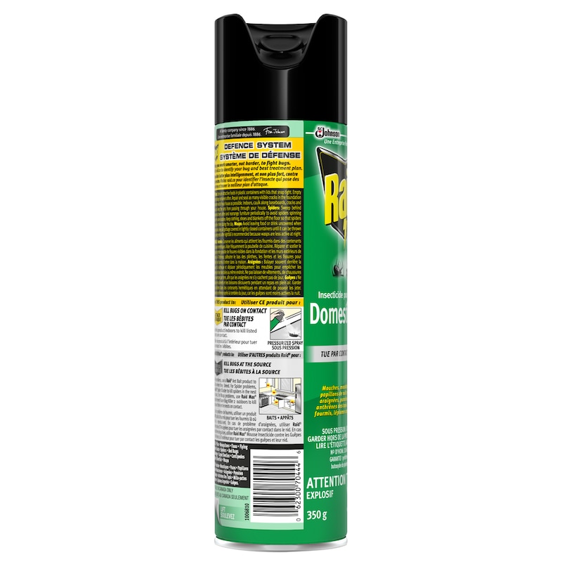 Raid Indoor/Outdoor Home Insect Killer Spray, 350-g | Canadian Tire