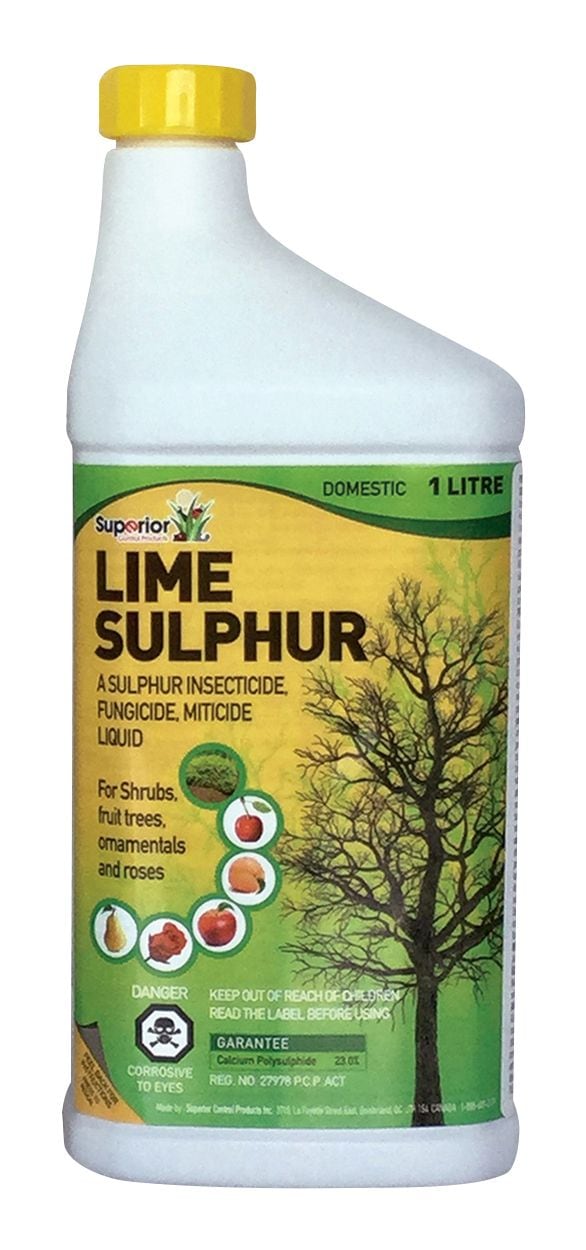 Superior Lime Sulpher Liquid Insecticide, 1-L | Canadian Tire