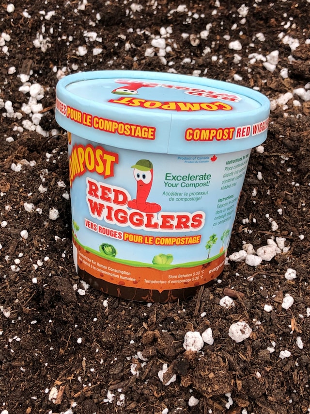 Compost Red Wiggler Live Composting Worms, 50 Count | Canadian Tire
