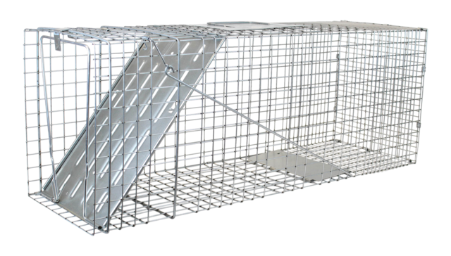 Havahart Raccoon Live Trap | Canadian Tire