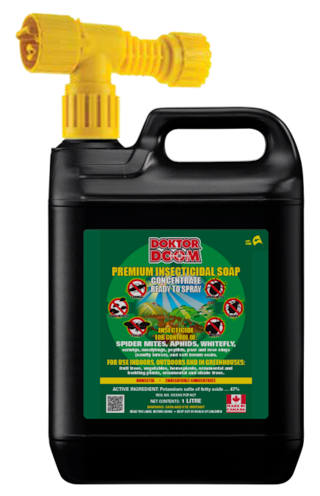 Savon insecticide concentré de qualité supérieure pour l’intérieur et l ...