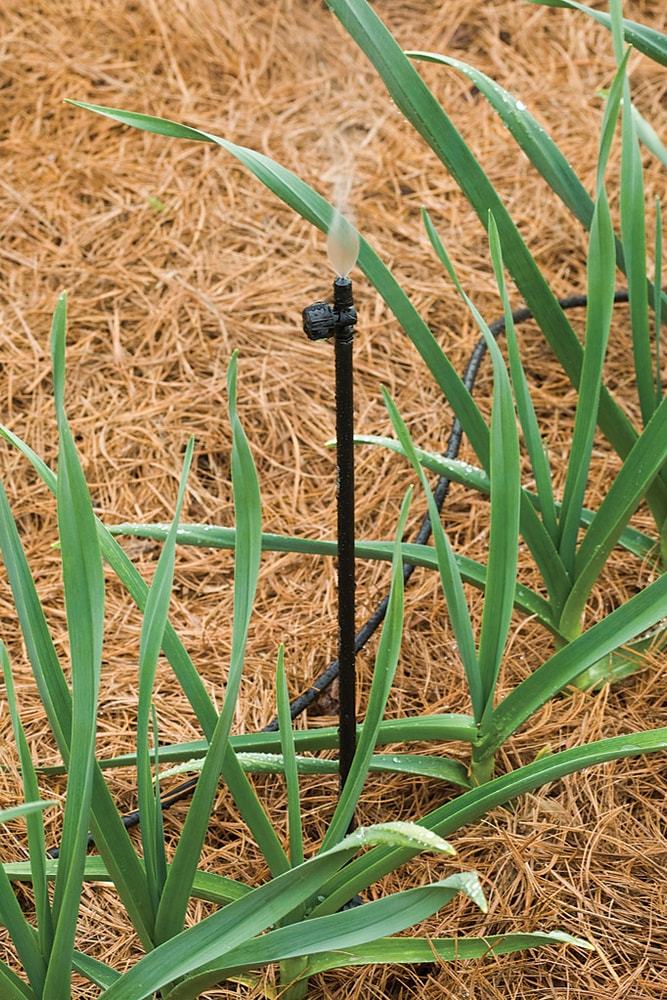 Rain Bird Polyflex Riser Stake, 1/4-in | Canadian Tire