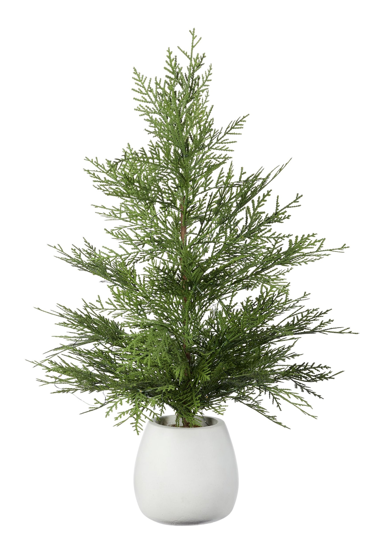 CANVAS Pre-Lit Tabletop Cedar Tree in White Ceramic Pot, 24-in ...