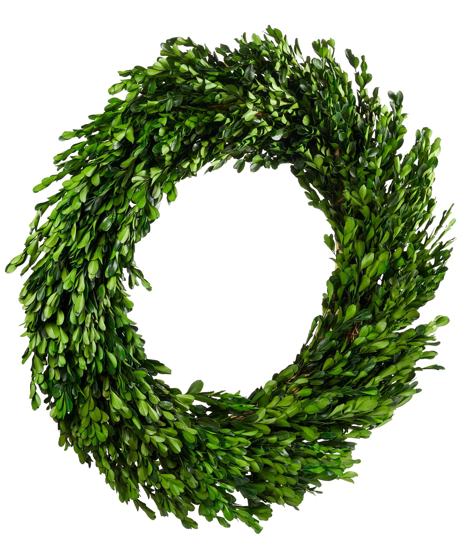 Couronne de Noël en buis préservé Jillian Harris X CANVAS, 22 po | Canadian Tire