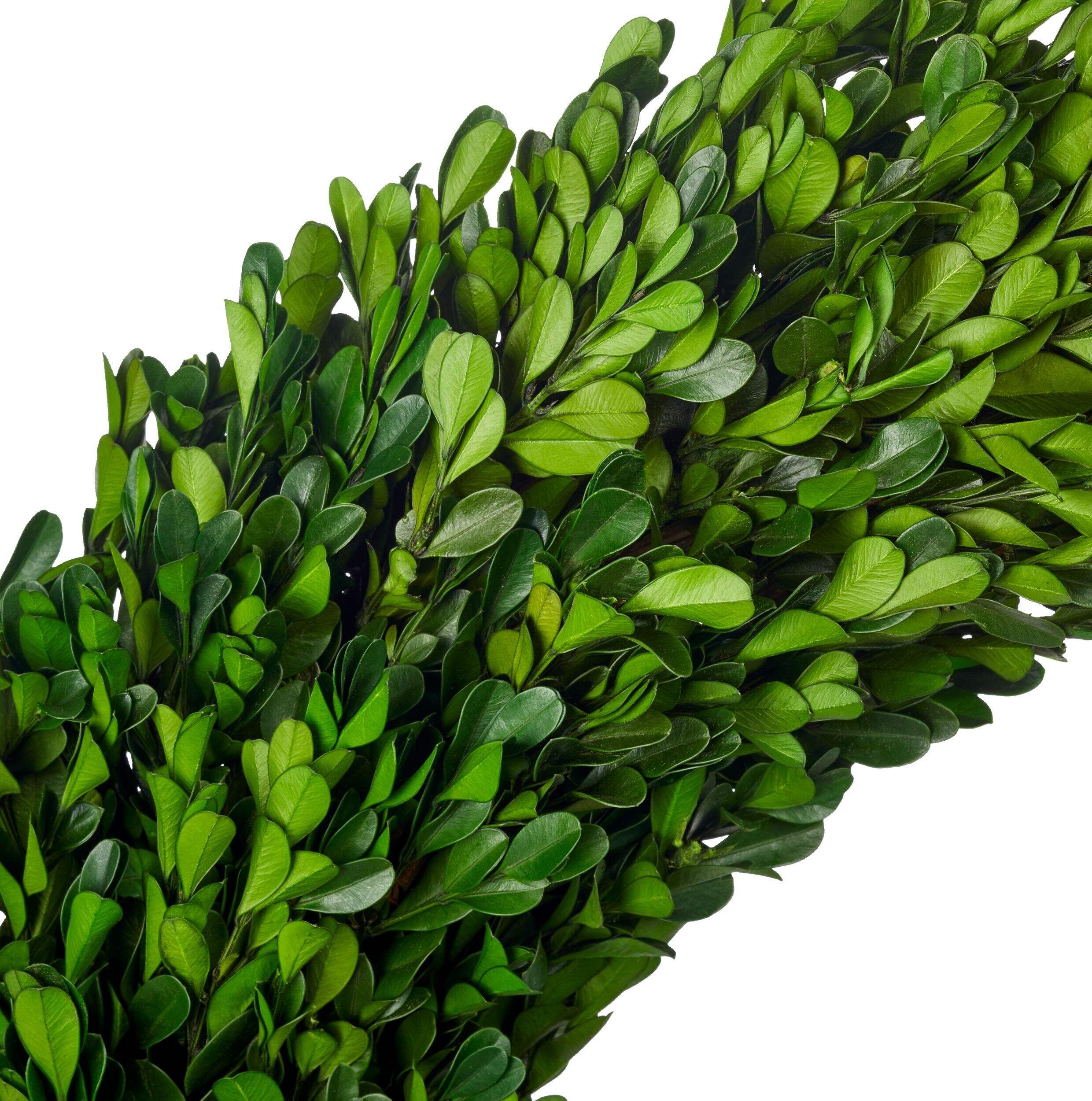 Couronne de Noël en buis préservé Jillian Harris X CANVAS, 22 po | Canadian Tire