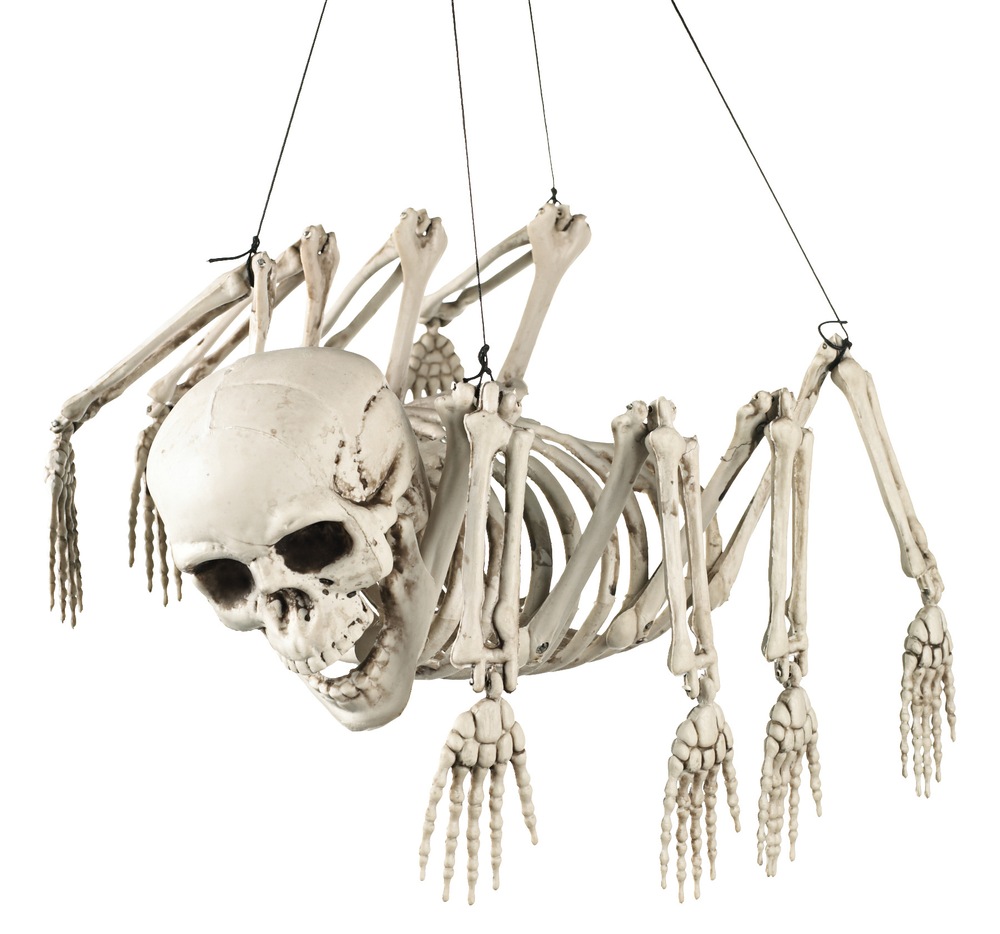 Hanging Spider Skeleton | Canadian Tire