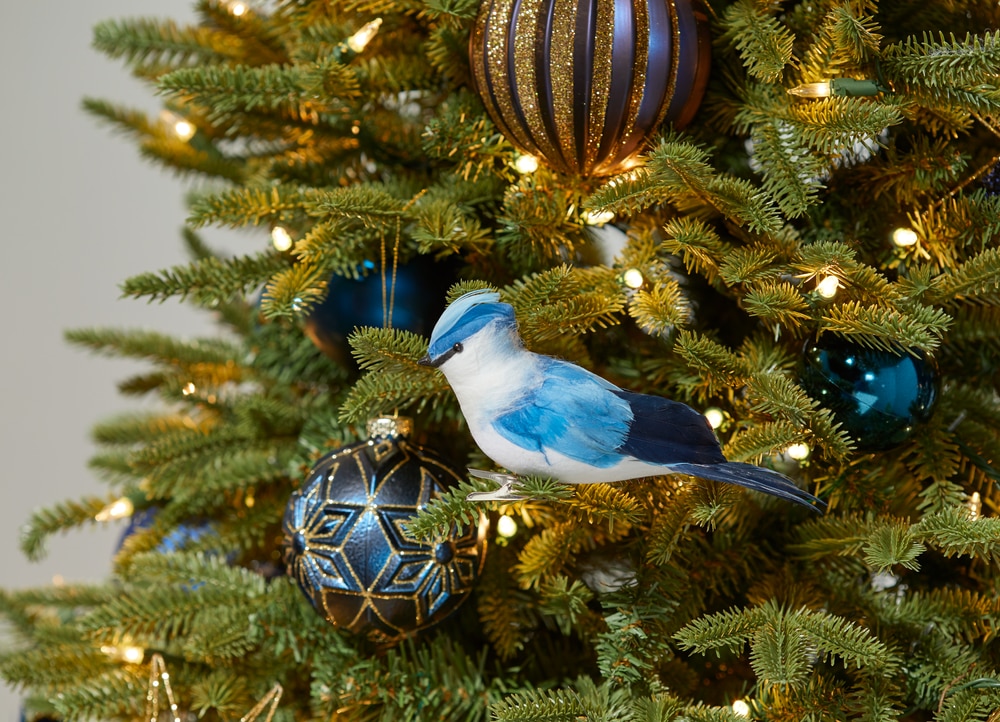 CANVAS Red Collection Decoration Blue Jay Bird Christmas Ornament, 150 ...