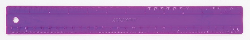 Buffalo 12-in Ruler | Canadian Tire