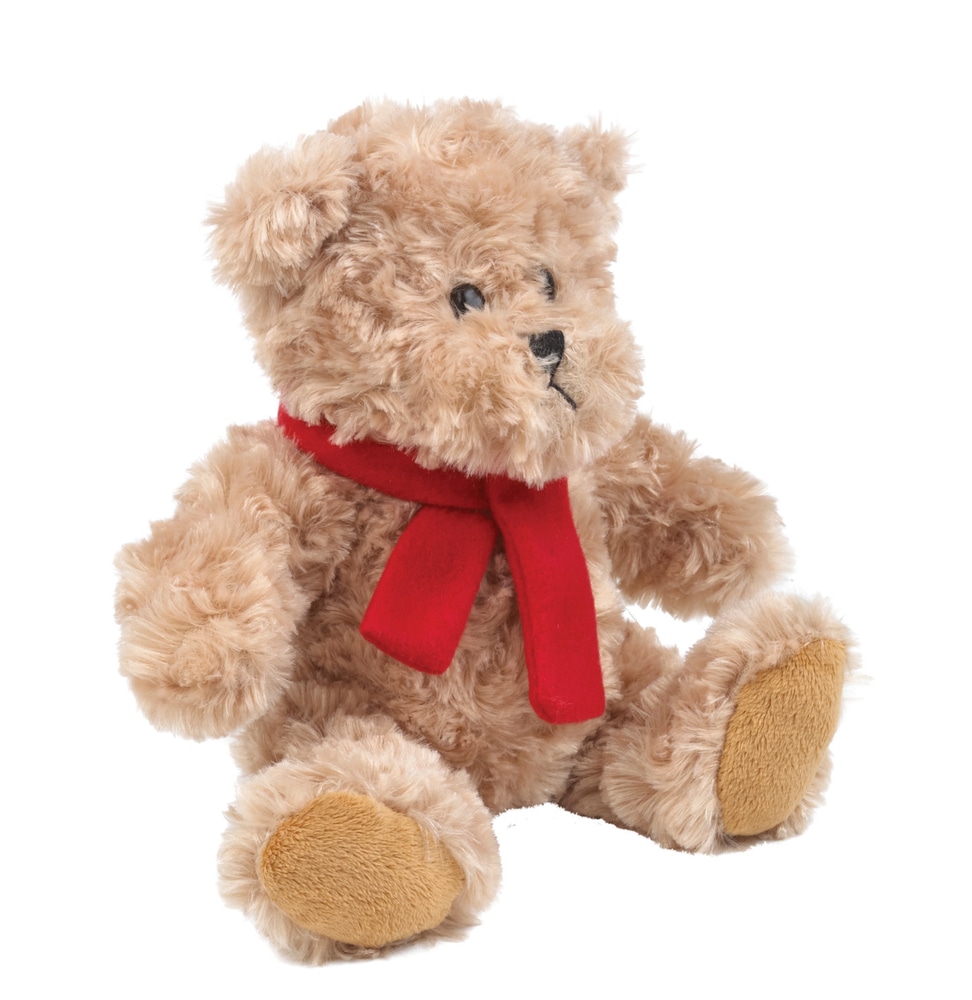 Jumpstart Teddy Bear | Canadian Tire