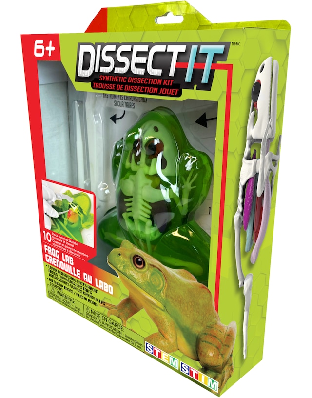 Dissect It Frog Lab Synthetic Dissection Kit, 10 pc Set For Kids, Ages ...