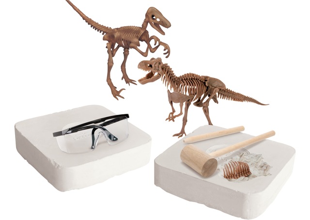 Discovery Hands-On Learning Dinosaur Excavation Fossil Kit For Kids ...