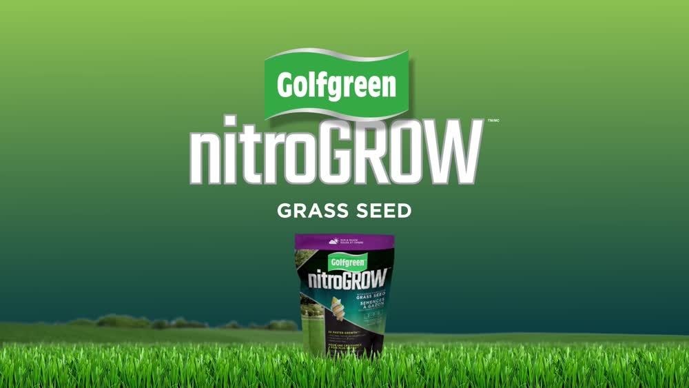 Golfgreen NitroGROW Nitrogen-Enriched Grass Seed & Fertilizer Mix, 2-5 ...